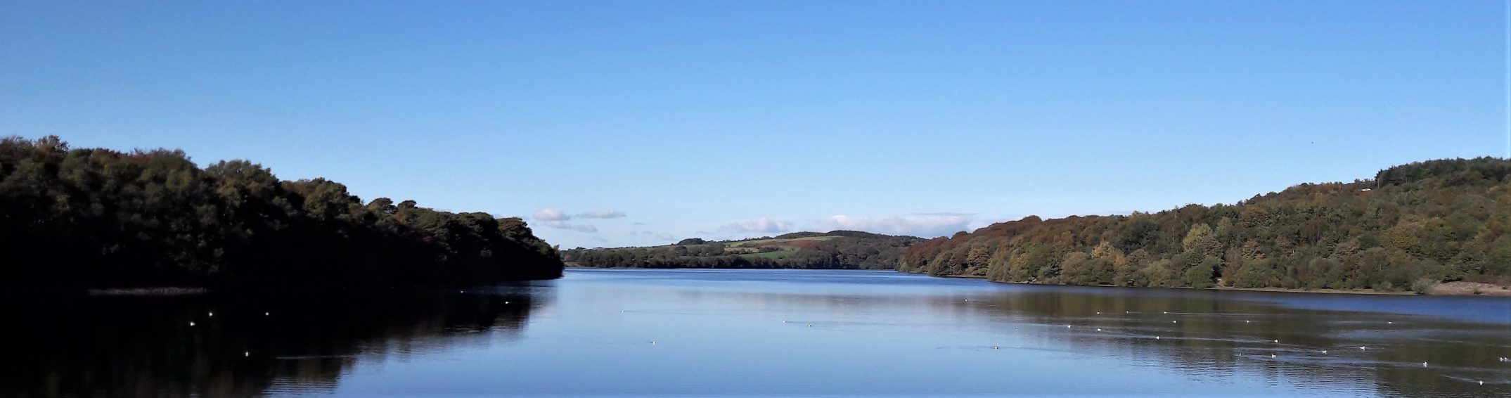 YET ANOTHER ANGLEZARKE – WHITE COPPICE WALK. | bowlandclimber