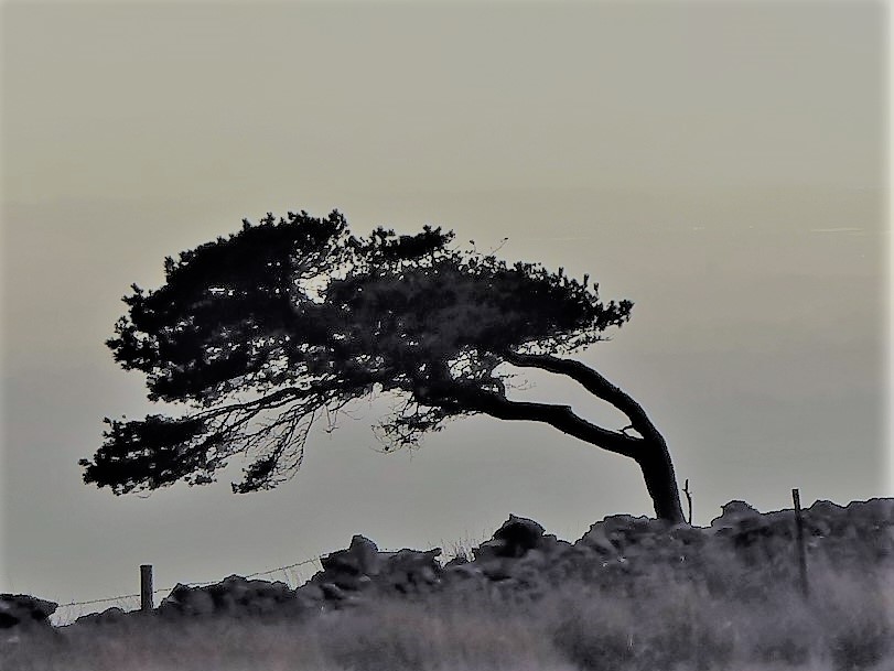 BLOWING THE COBWEBS AWAY. | bowlandclimber
