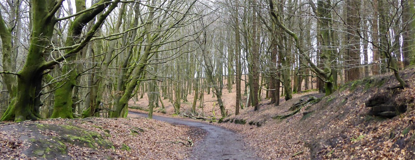 WILD LANCASHIRE MOORS – CARTRIDGE HILL AND MORE. | bowlandclimber