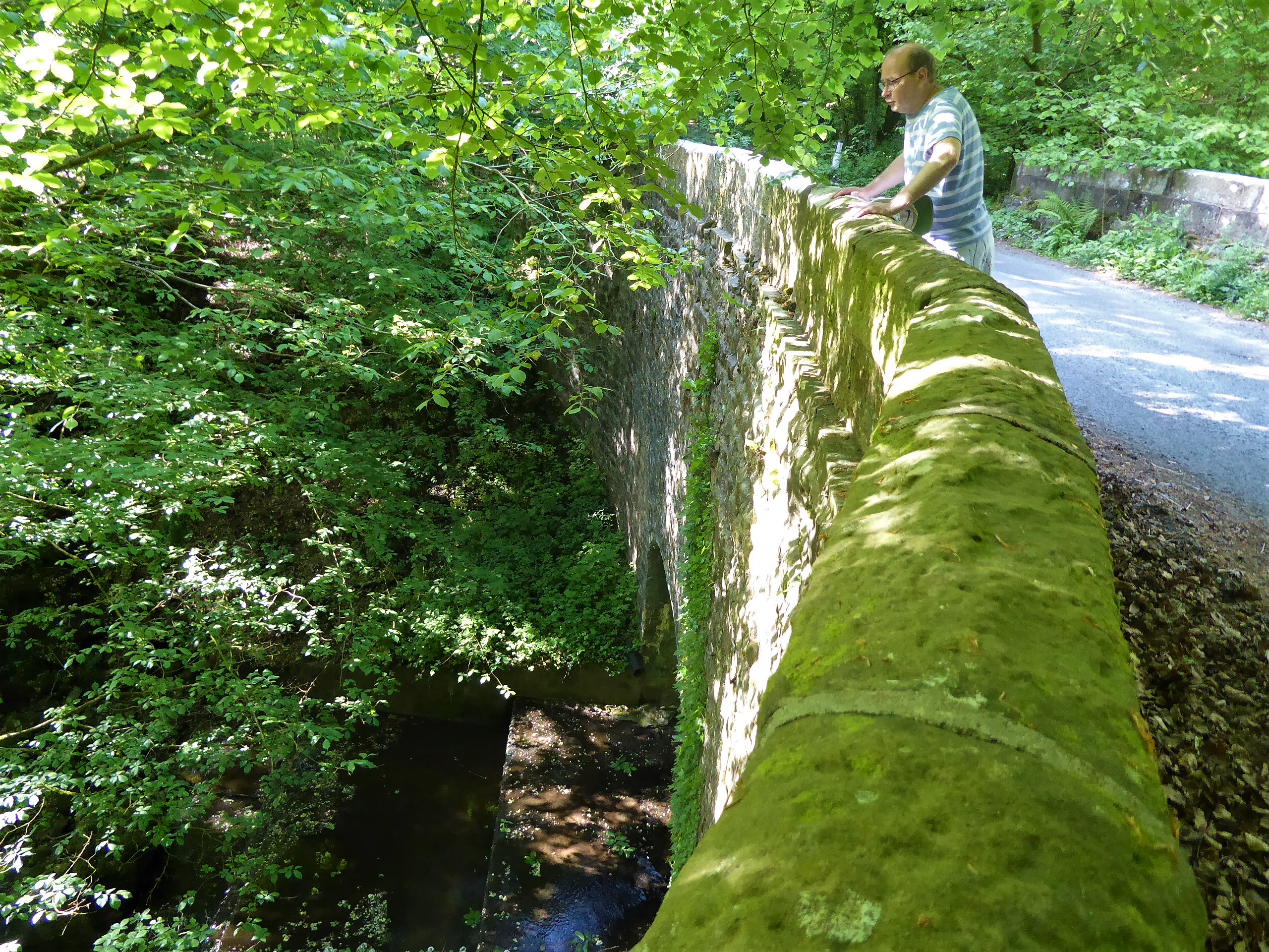RURAL RAMBLING – BROCK’S BOTTOM. | bowlandclimber