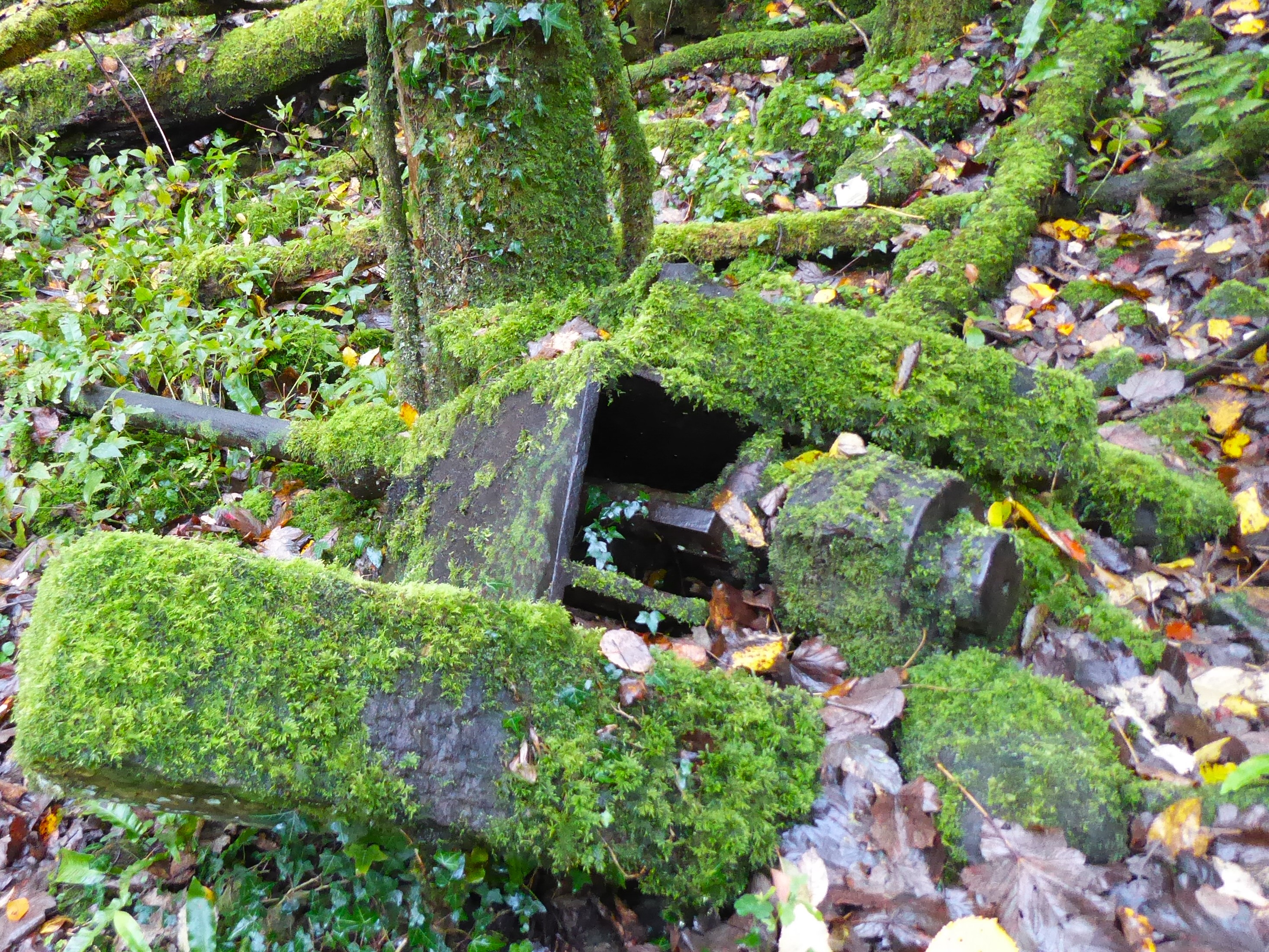 BETWEEN BROCK AND BEACON. | bowlandclimber