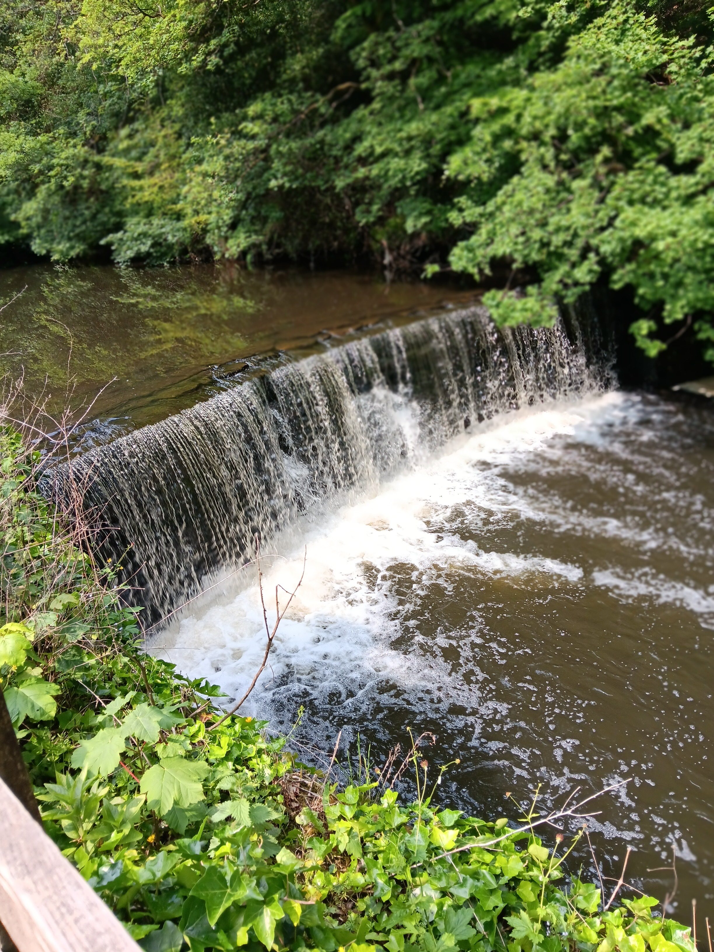 20250604_105503 | bowlandclimber